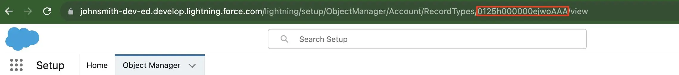 How To Get Record Type Id In Salesforce